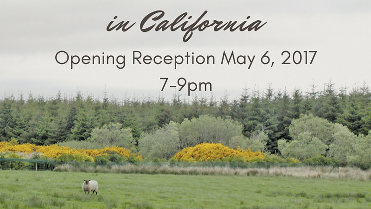 news – Cynthia Grilli